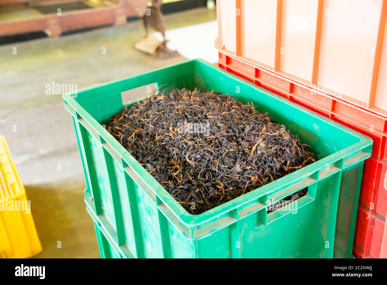 Fresh ceylon tea in big factory green box. Harvests of Sri Lanka Stock ...