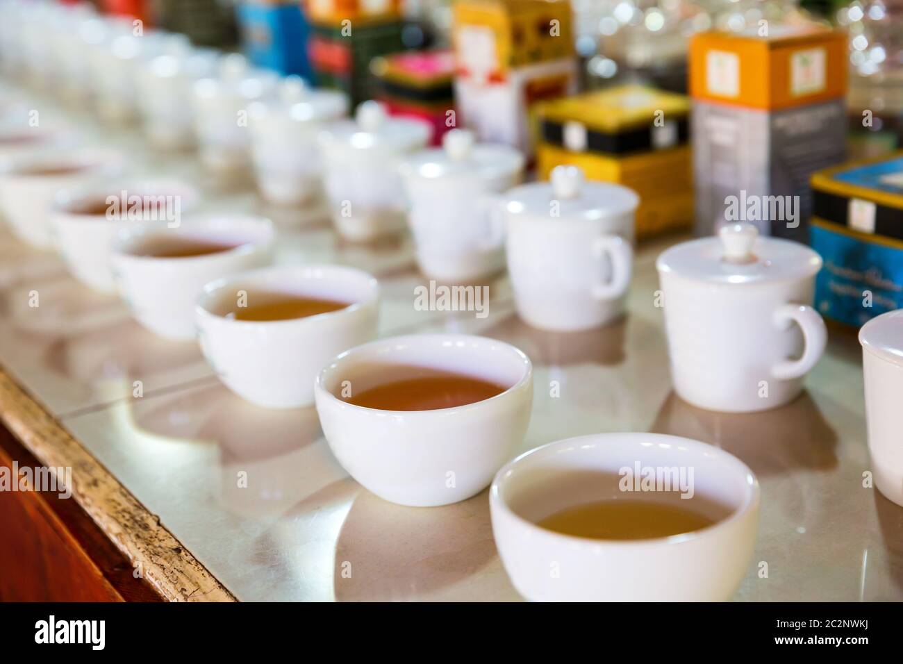 Ceylon tea tasting cups closeup view, tourist excursion on Sri Lanka ...