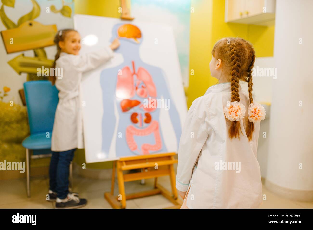 Little girls in uniform playing doctor at the poster with human organs ...