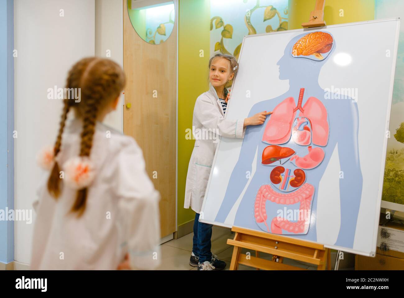 Little girls in uniform playing doctor at the poster with human organs ...