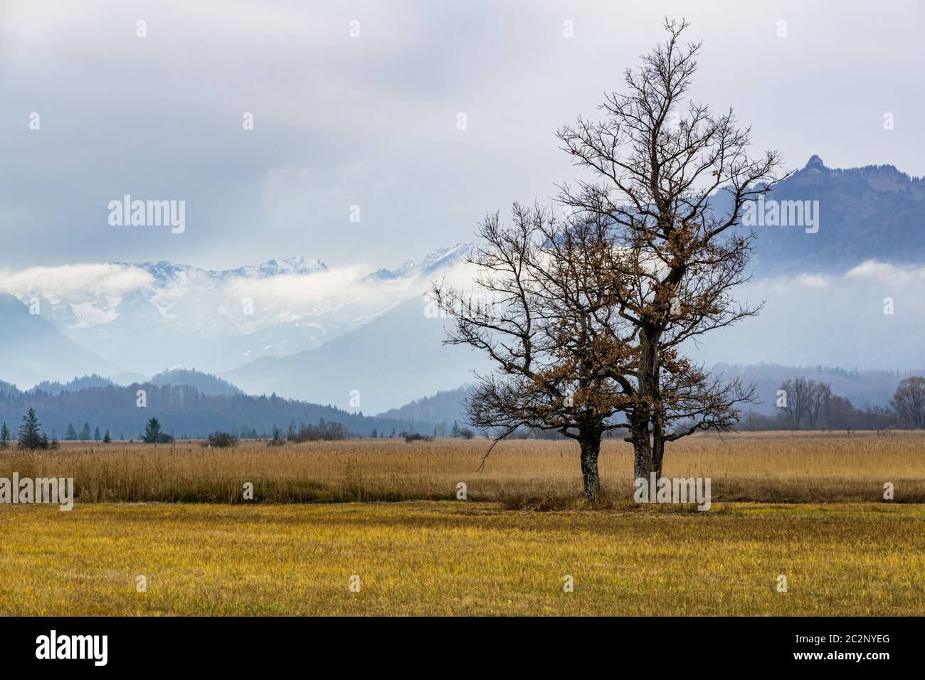 Moorland landscapes in autumn Stock Photo - Alamy