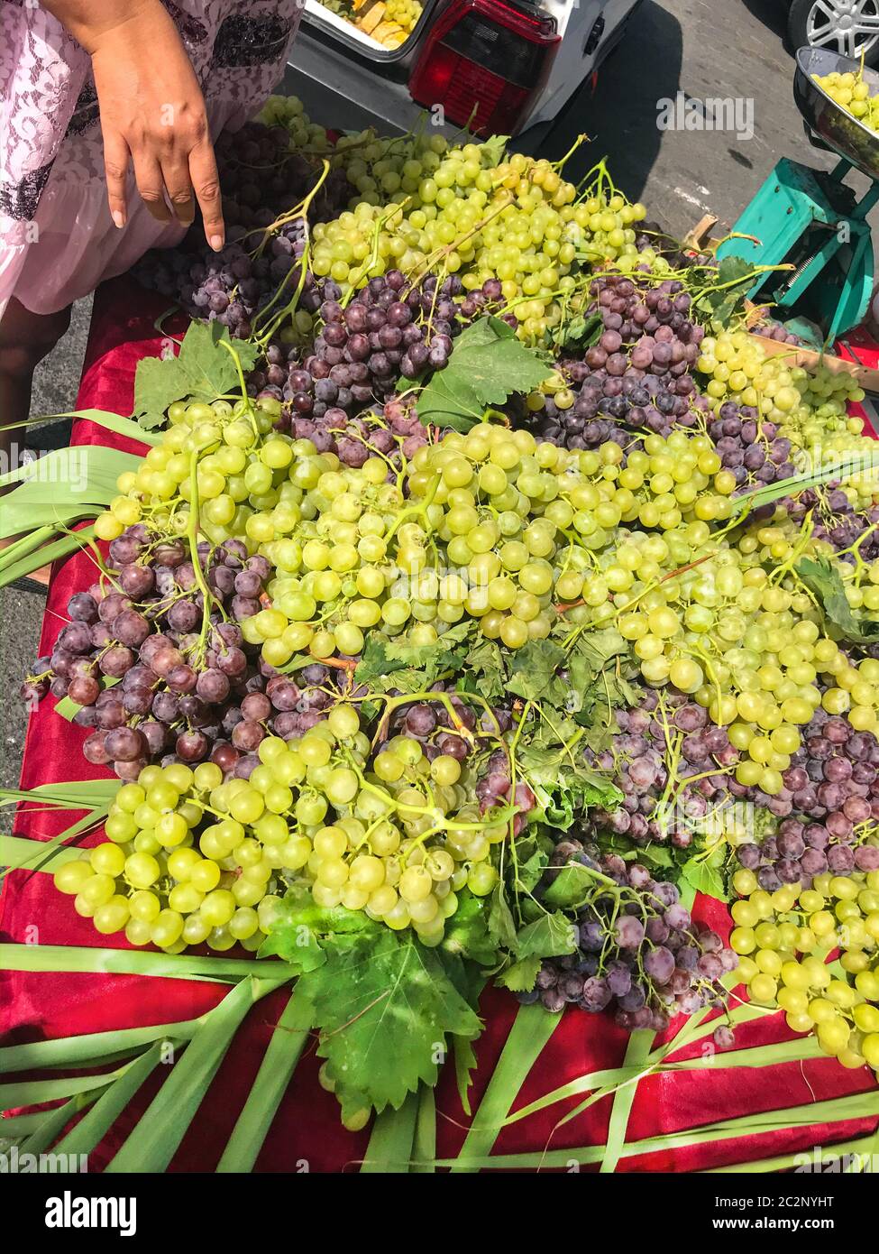 Grapes in italy hi-res stock photography and images - Alamy