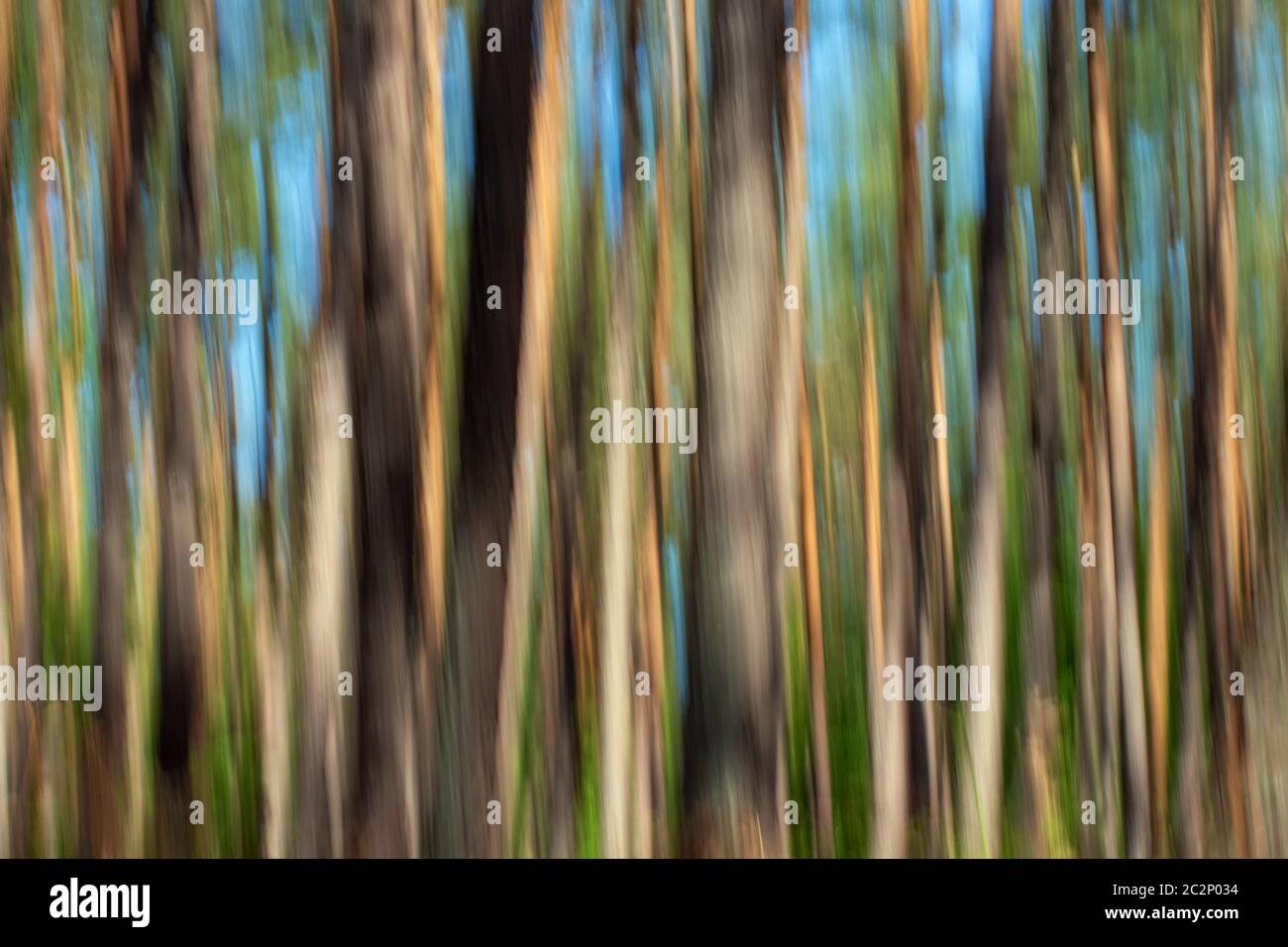 Blurred Trees 020 Stock Photo - Alamy