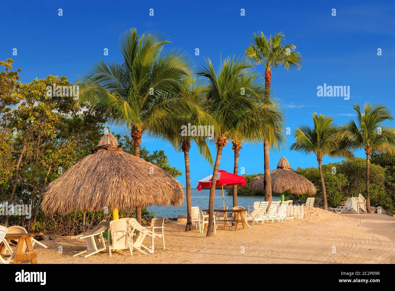 Tropical beach in Florida Keys Stock Photo - Alamy