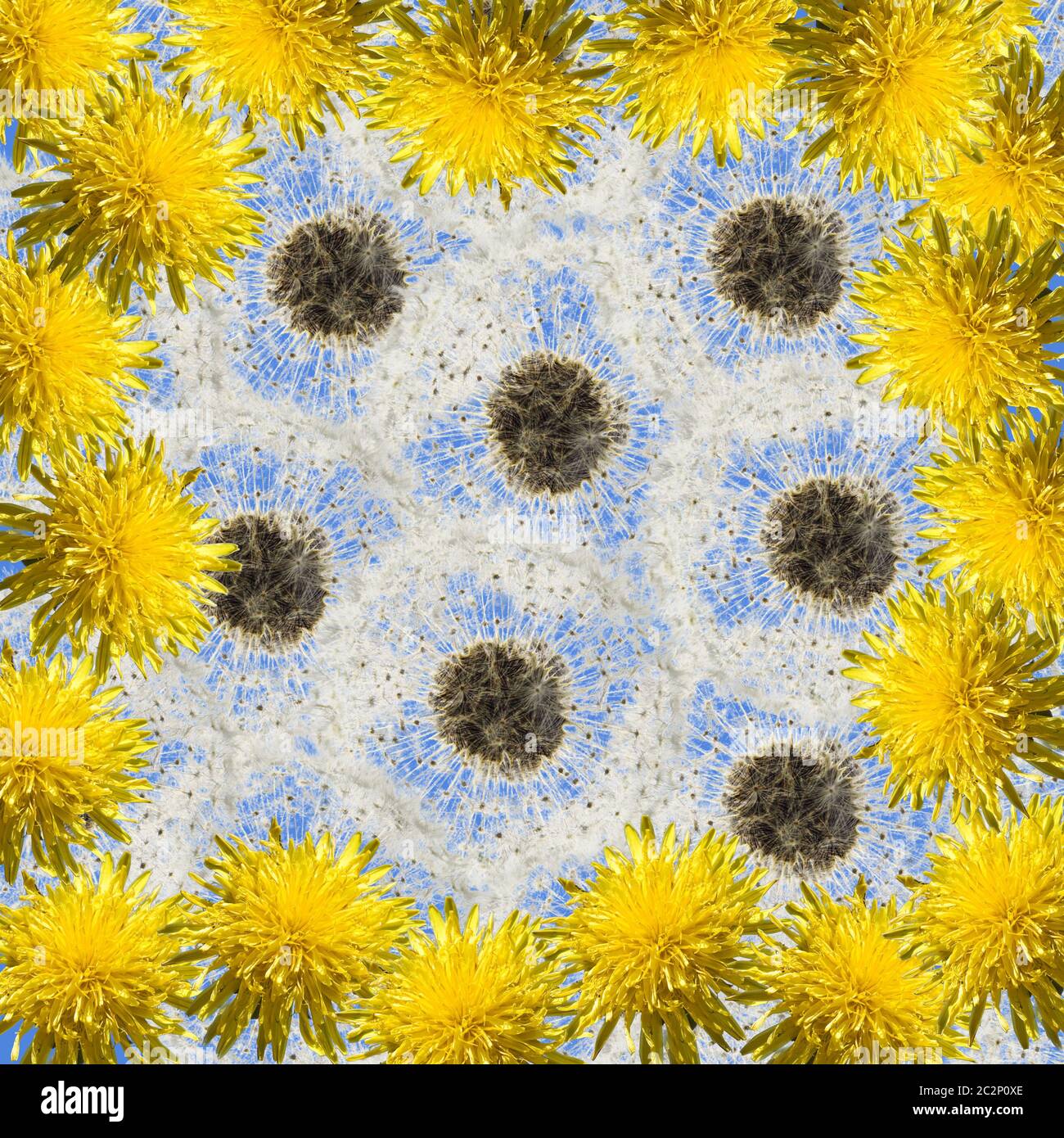Wishing frame hi-res stock photography and images - Alamy