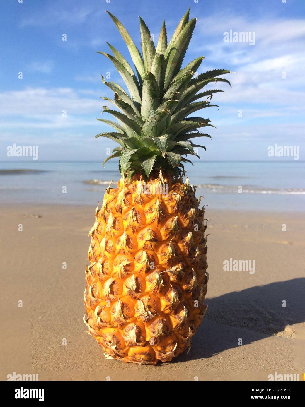 Pineapple photos hi-res stock photography and images - Alamy