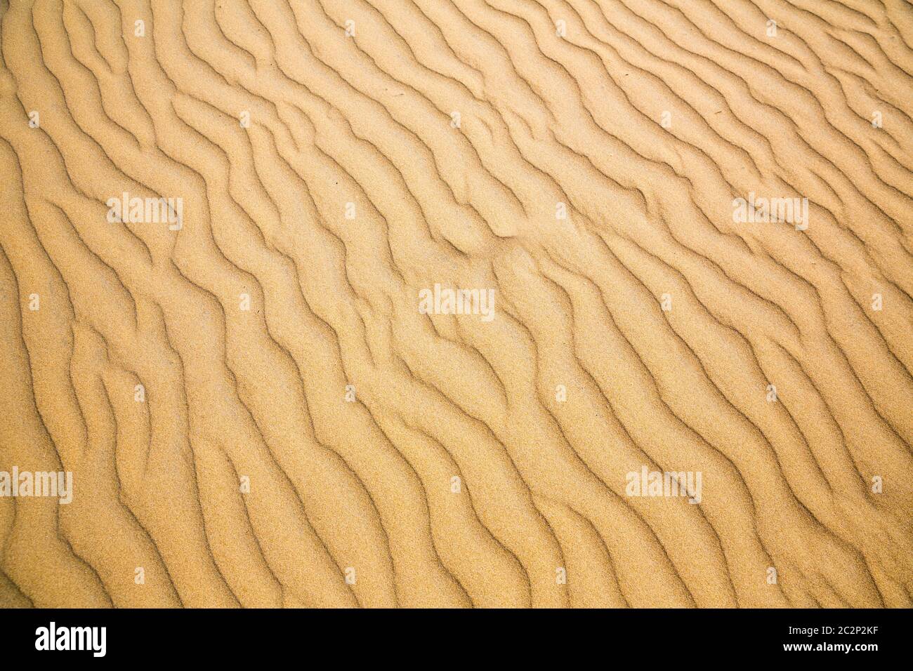 Sandy waves, beach on Ceylon coast. Sri Lanka sands, indian ocean Stock ...