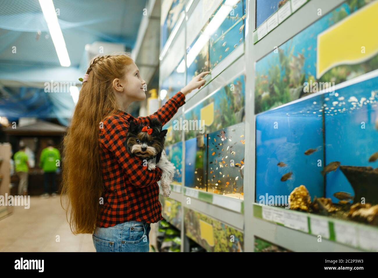 Little girl with puppy looking on fishes in aquarium, pet store. Child ...