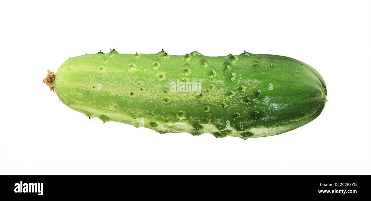 One green cucumber Stock Photo - Alamy