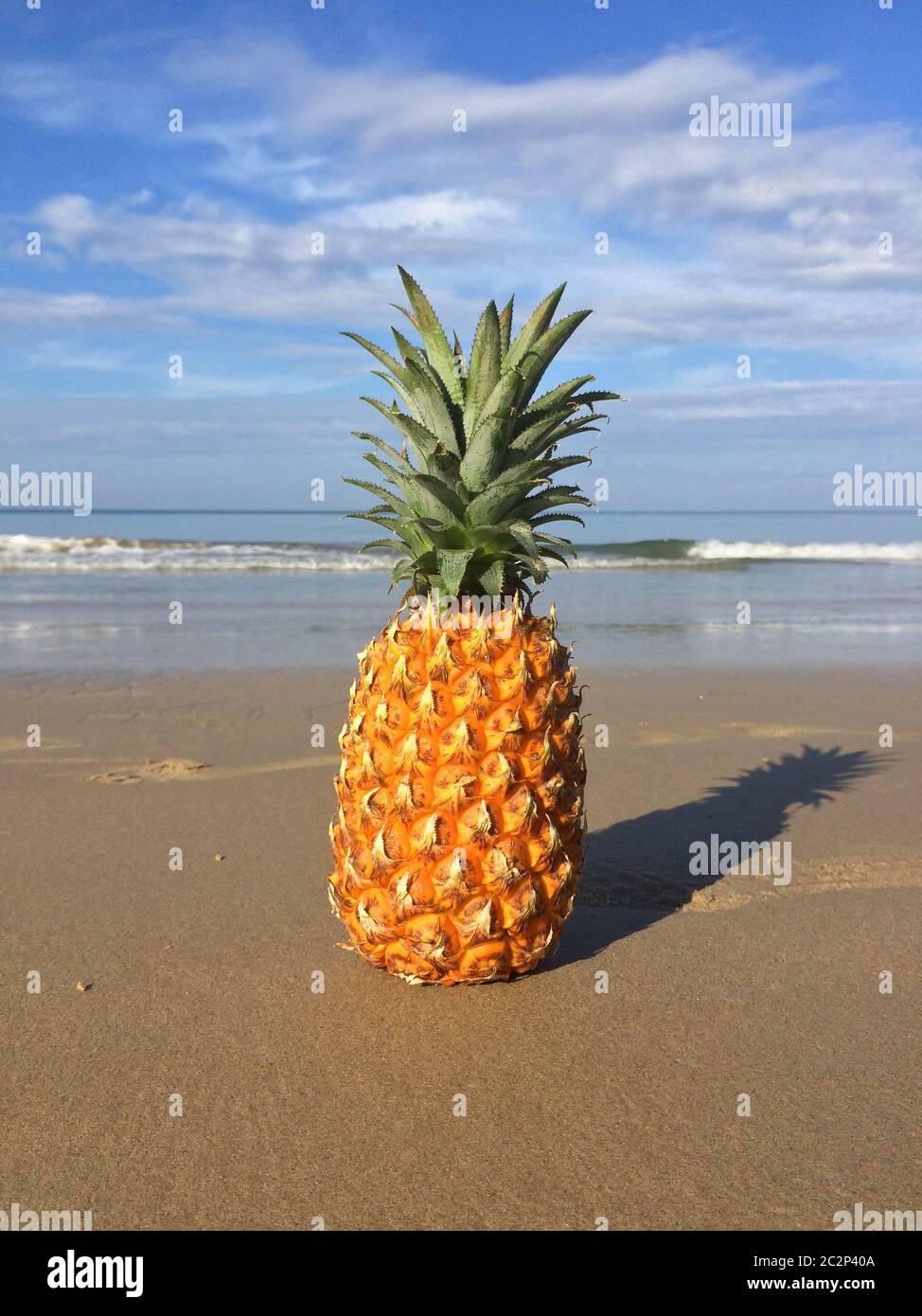 One pineapple on beach tourism hi-res stock photography and images - Alamy