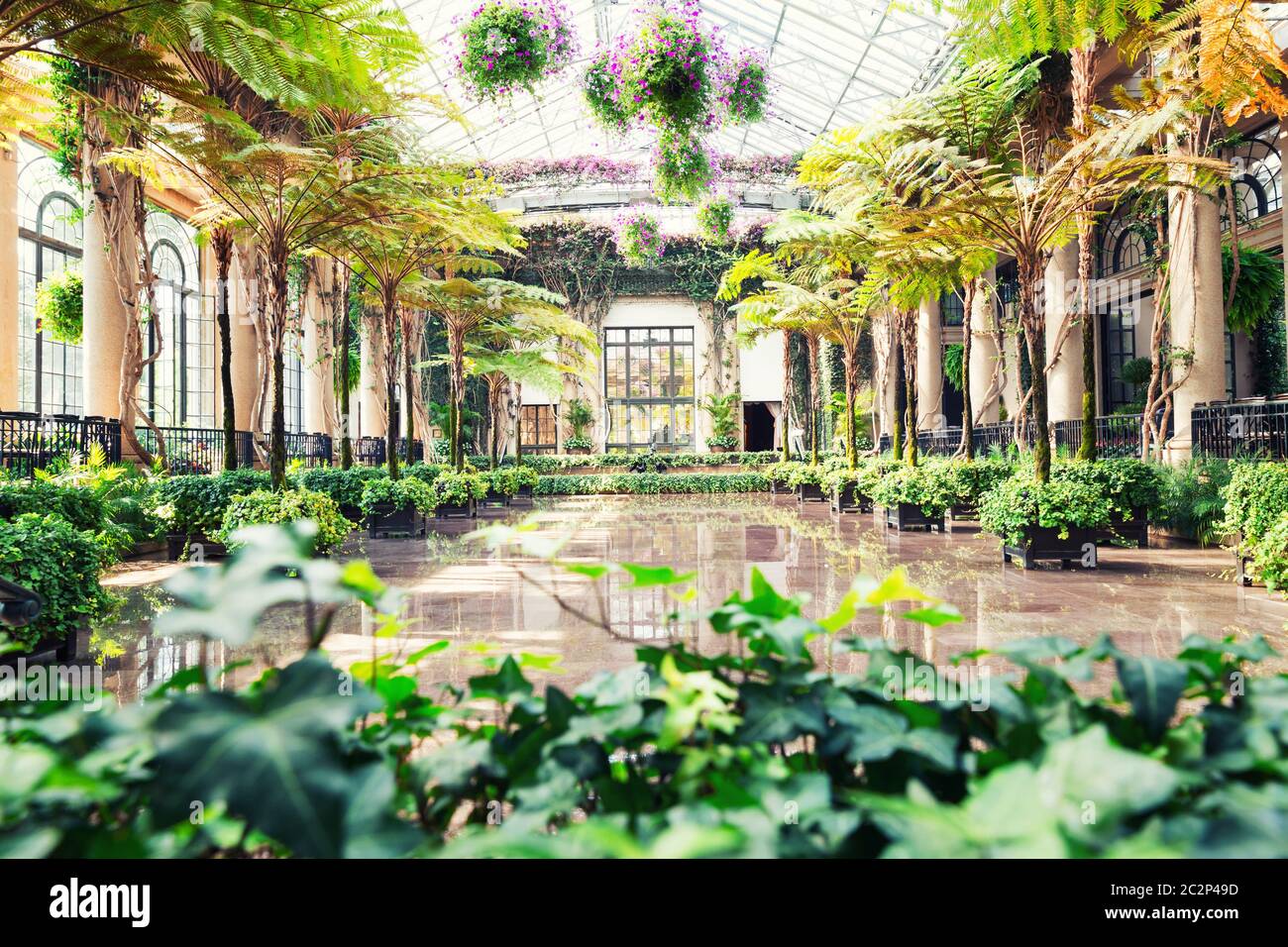 Botanical garden greenhouse with palms, flowers and fountain in the ...