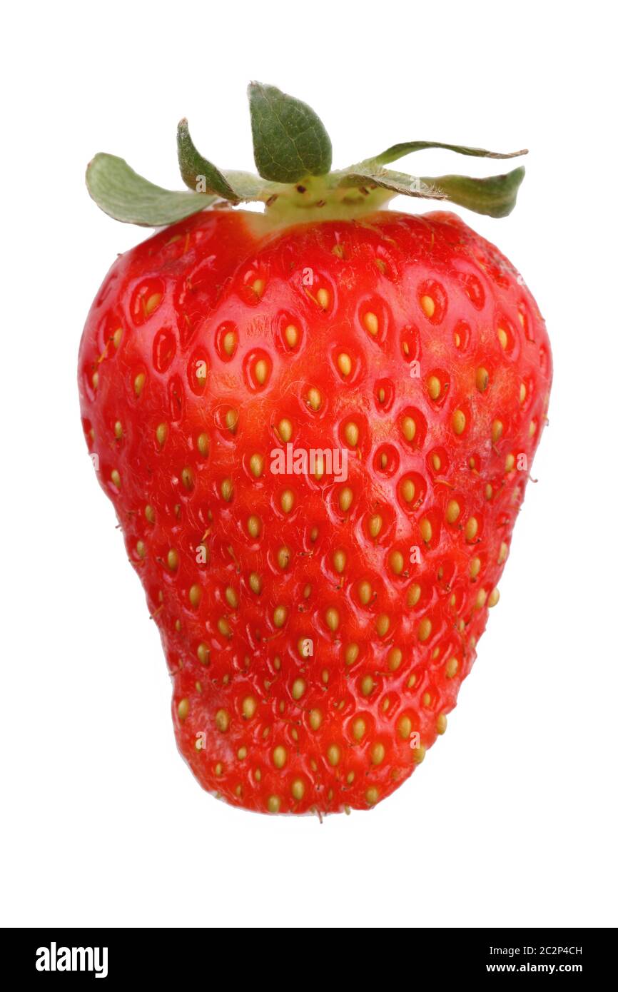 Strawberry cut in half hi-res stock photography and images - Alamy