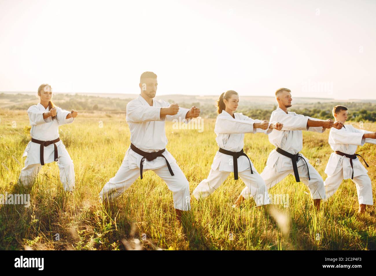 Karate group with master in white kimono, workout in summer field ...