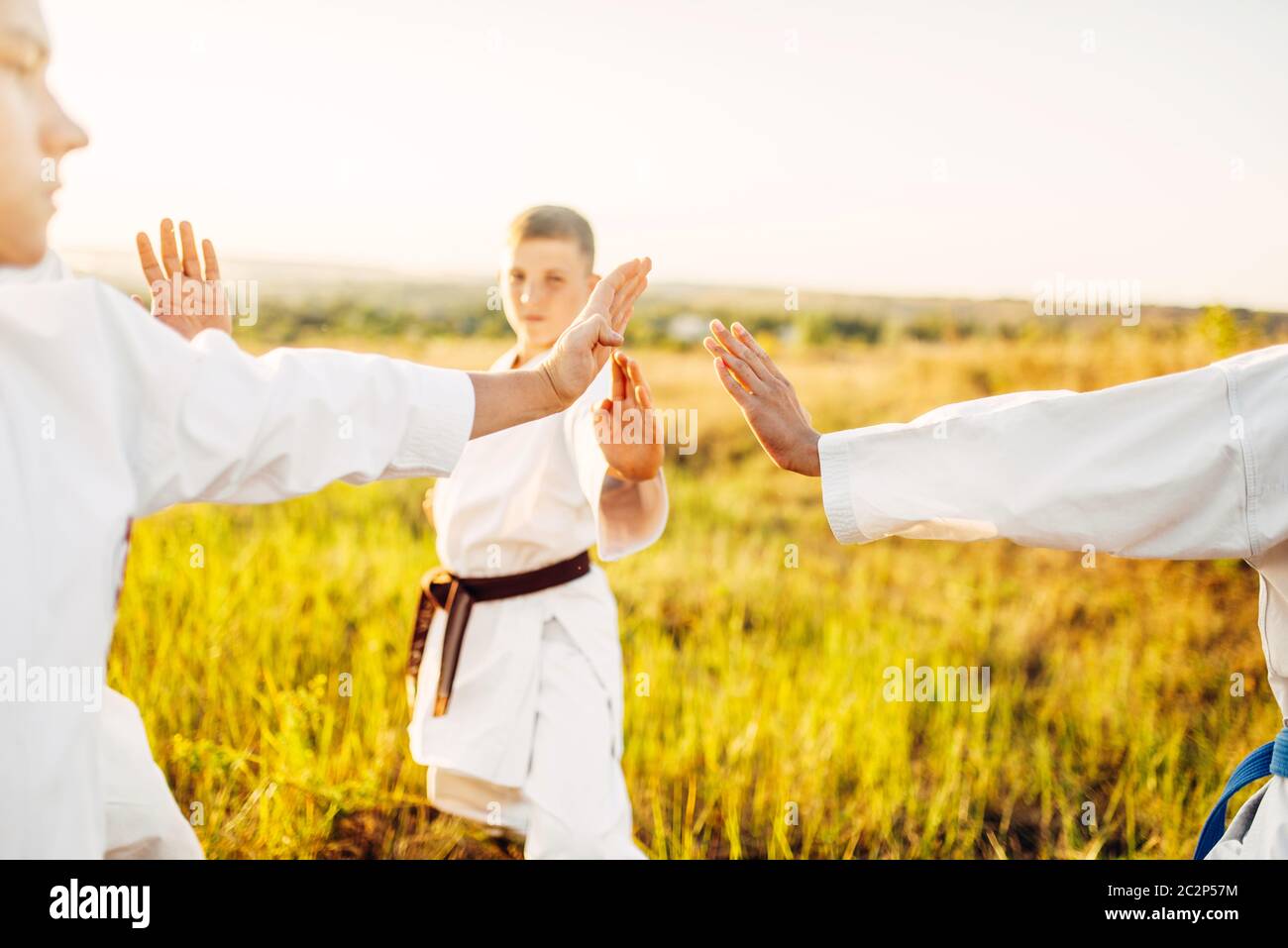 Junior karate team with instructor on training in summer field. Martial ...
