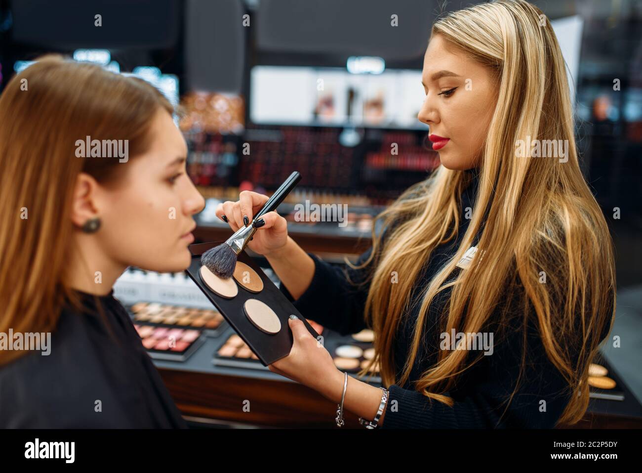 Visagiste applies powder with a brush, woman in makeup shop. Female ...