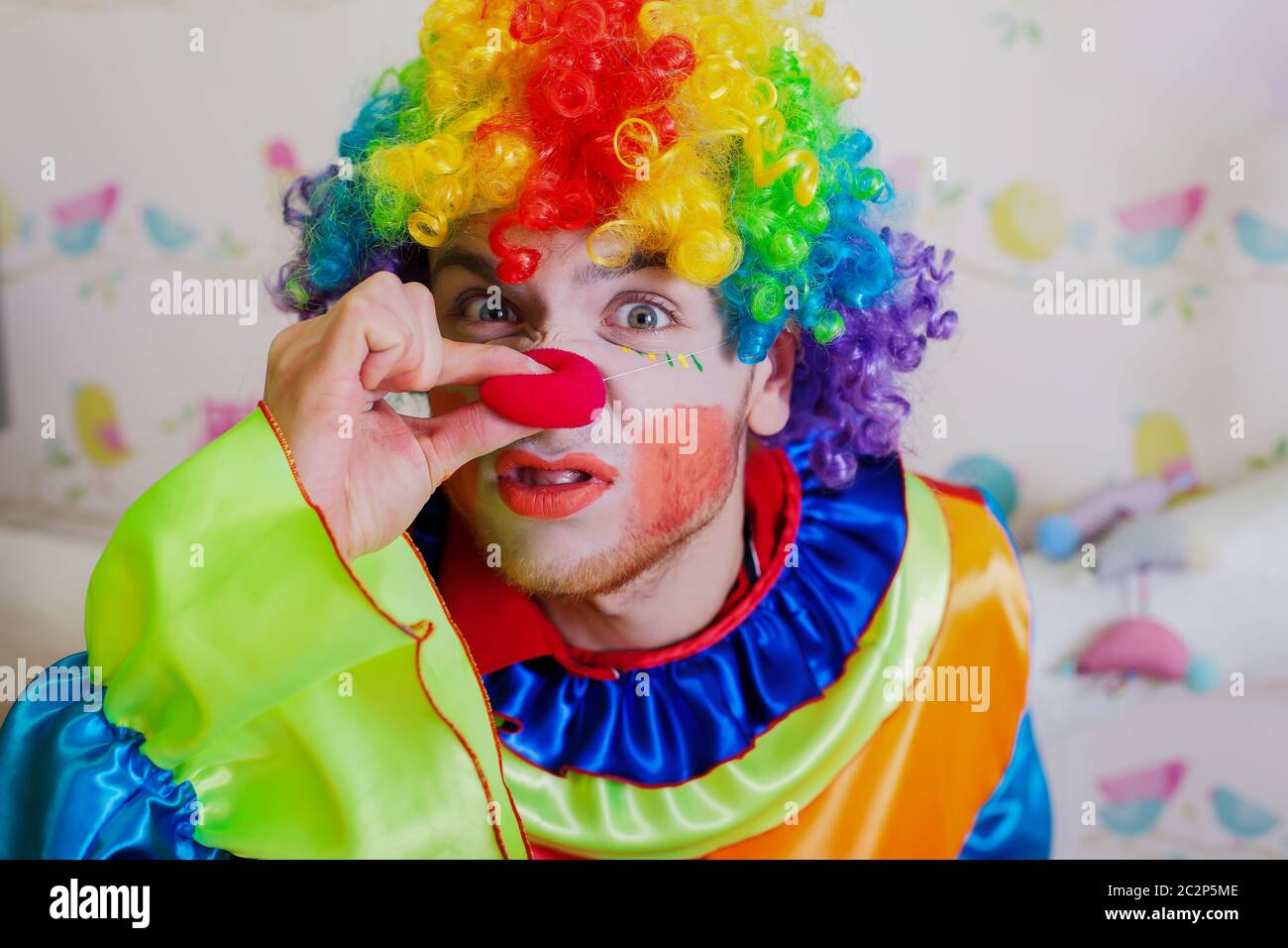 Funny clown with colorful hairstyle pushes himself on the red nose ...