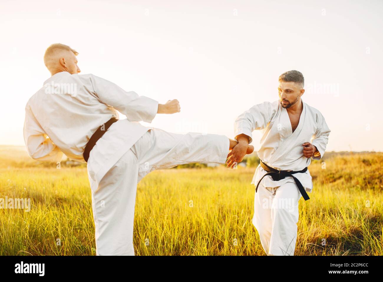 Two karate fighters, kick in the stomach in action, training fight in ...