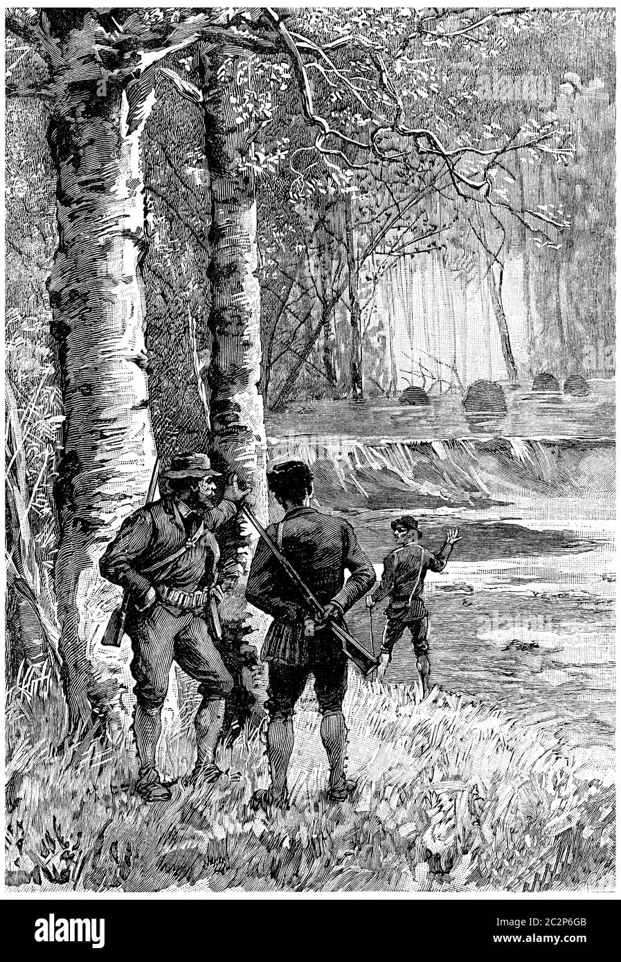 There was reason to admire the work of these industrious animals ...