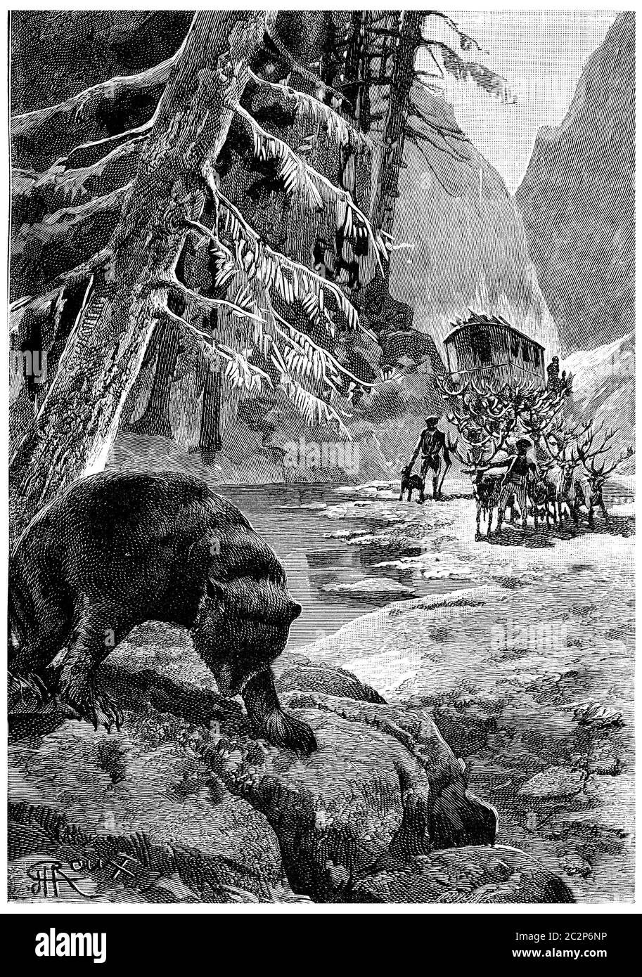 The bear shook his big head one last time, vintage engraved ...