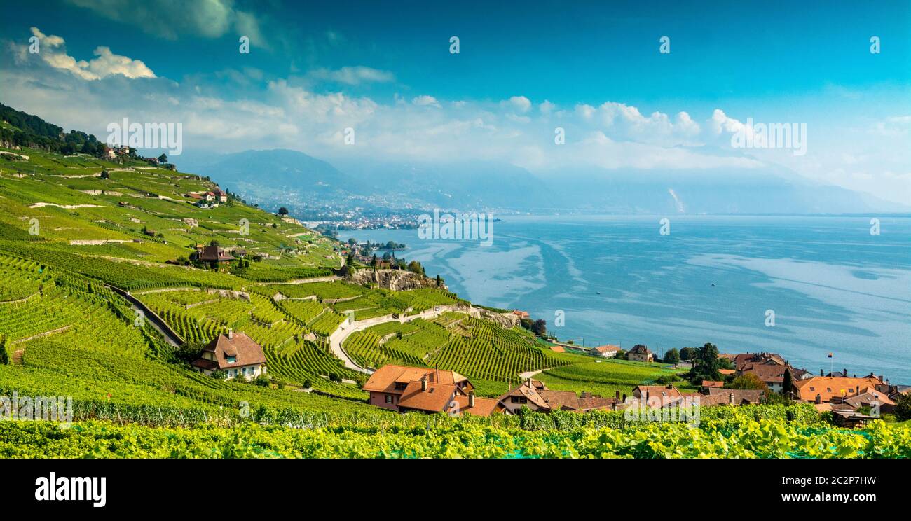 Rivaz Village High Resolution Stock Photography and Images - Alamy
