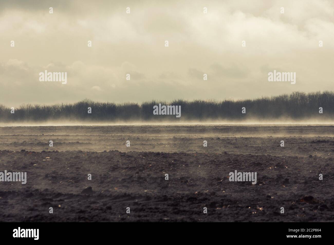 Rural scene of soil field and forest on dull day Stock Photo - Alamy