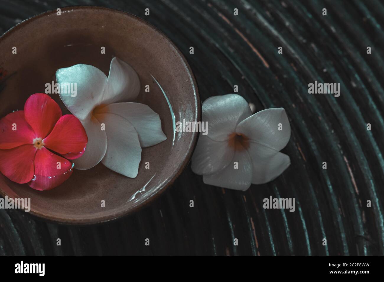 Conceptual still life photo showing concept of wellness in nature ...