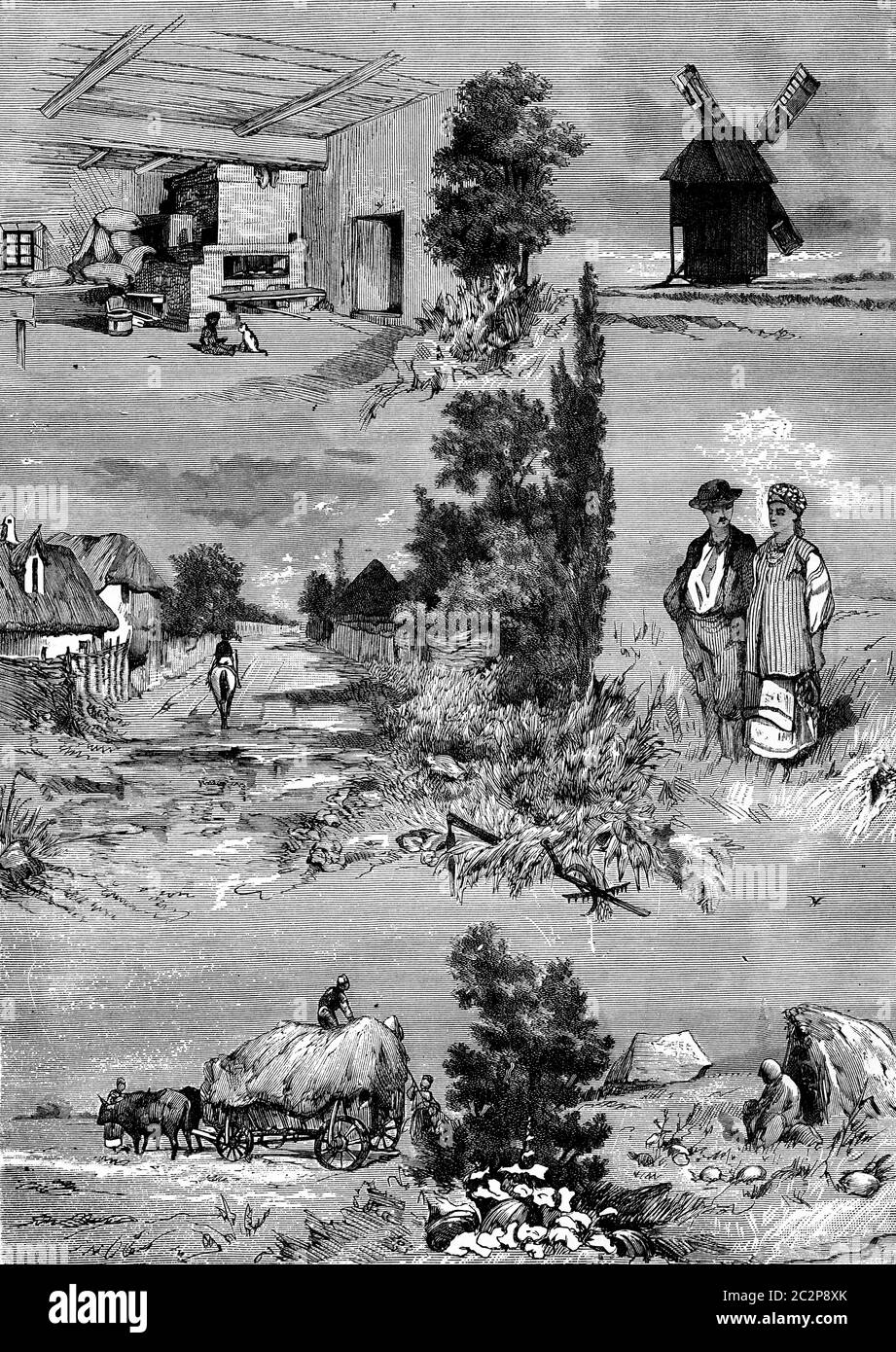 Ukraine. Inside a hut. Windmill. Road and house. Costume. Haymaking ...