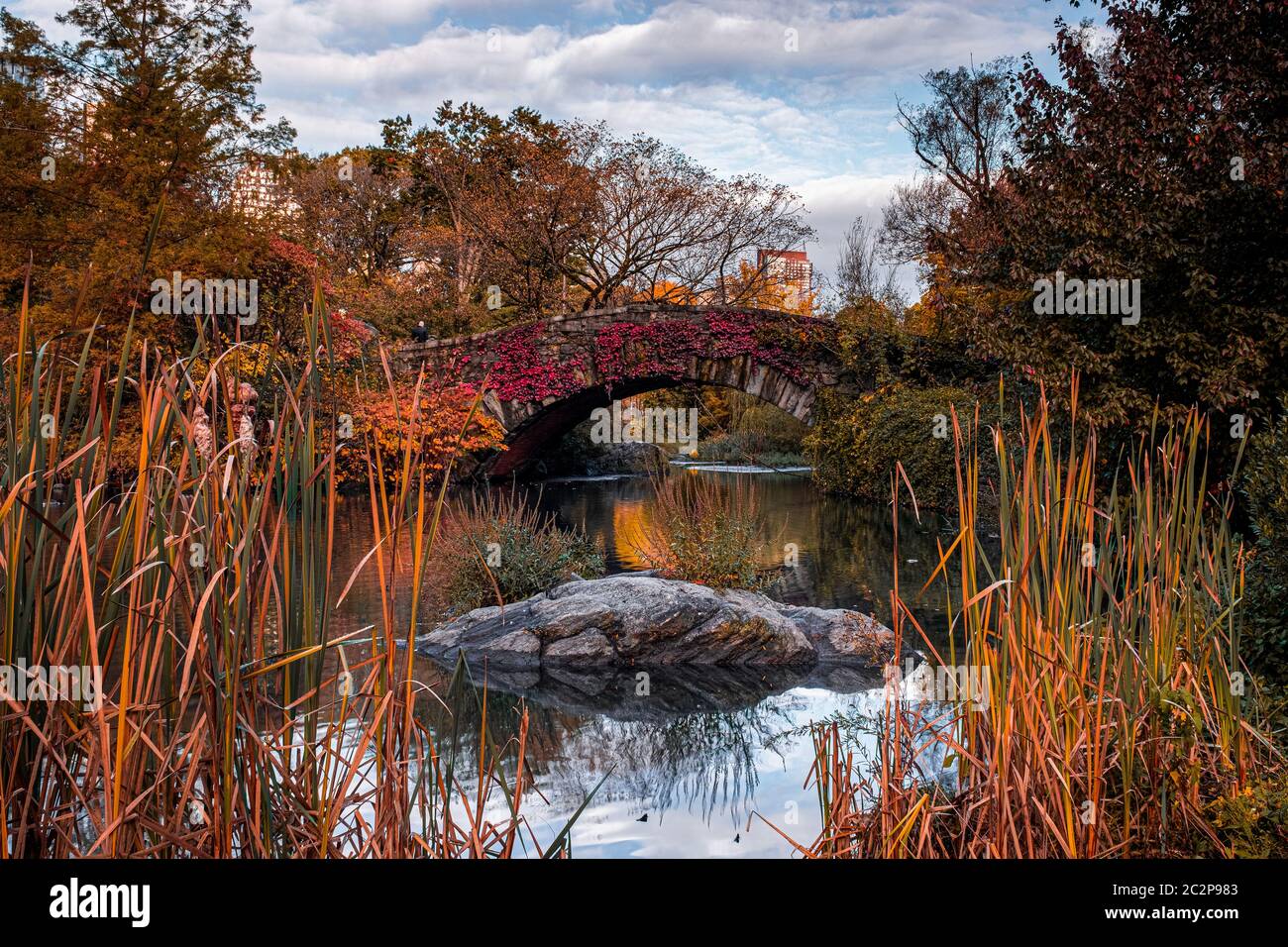 Fall foliage color of Central Park in Manhattan Stock Photo - Alamy