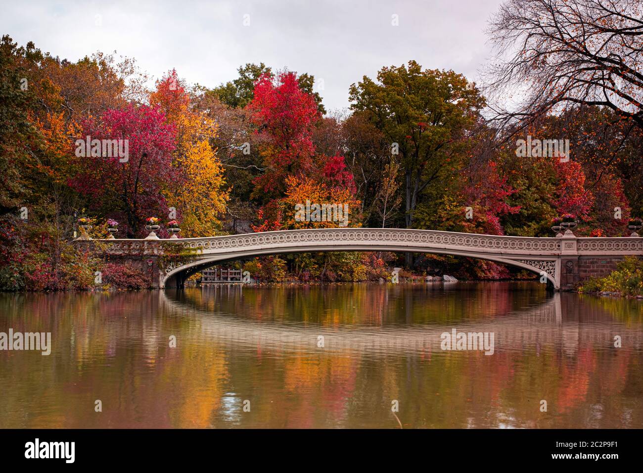 Fall foliage color of Central Park in Manhattan Stock Photo - Alamy