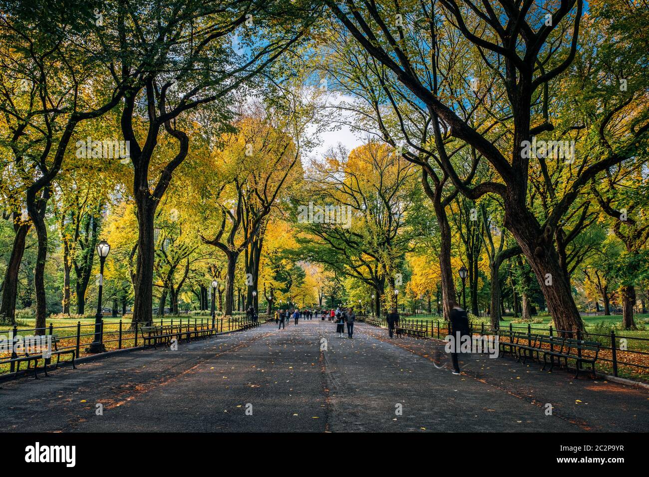 Fall foliage color of Central Park in Manhattan Stock Photo - Alamy