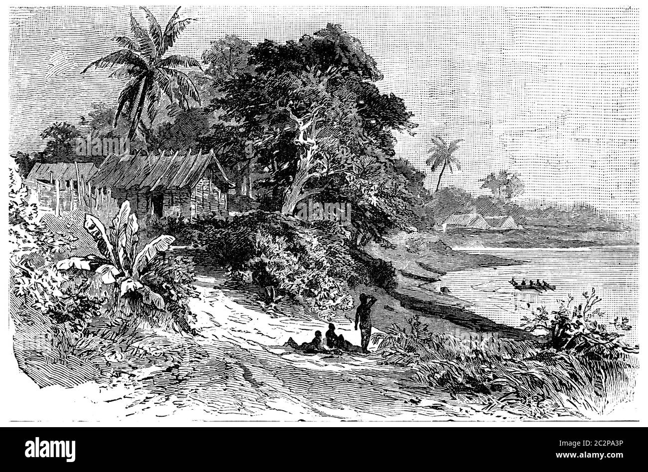 Vegetation at the mouth of the Cameroon River, vintage engraved ...