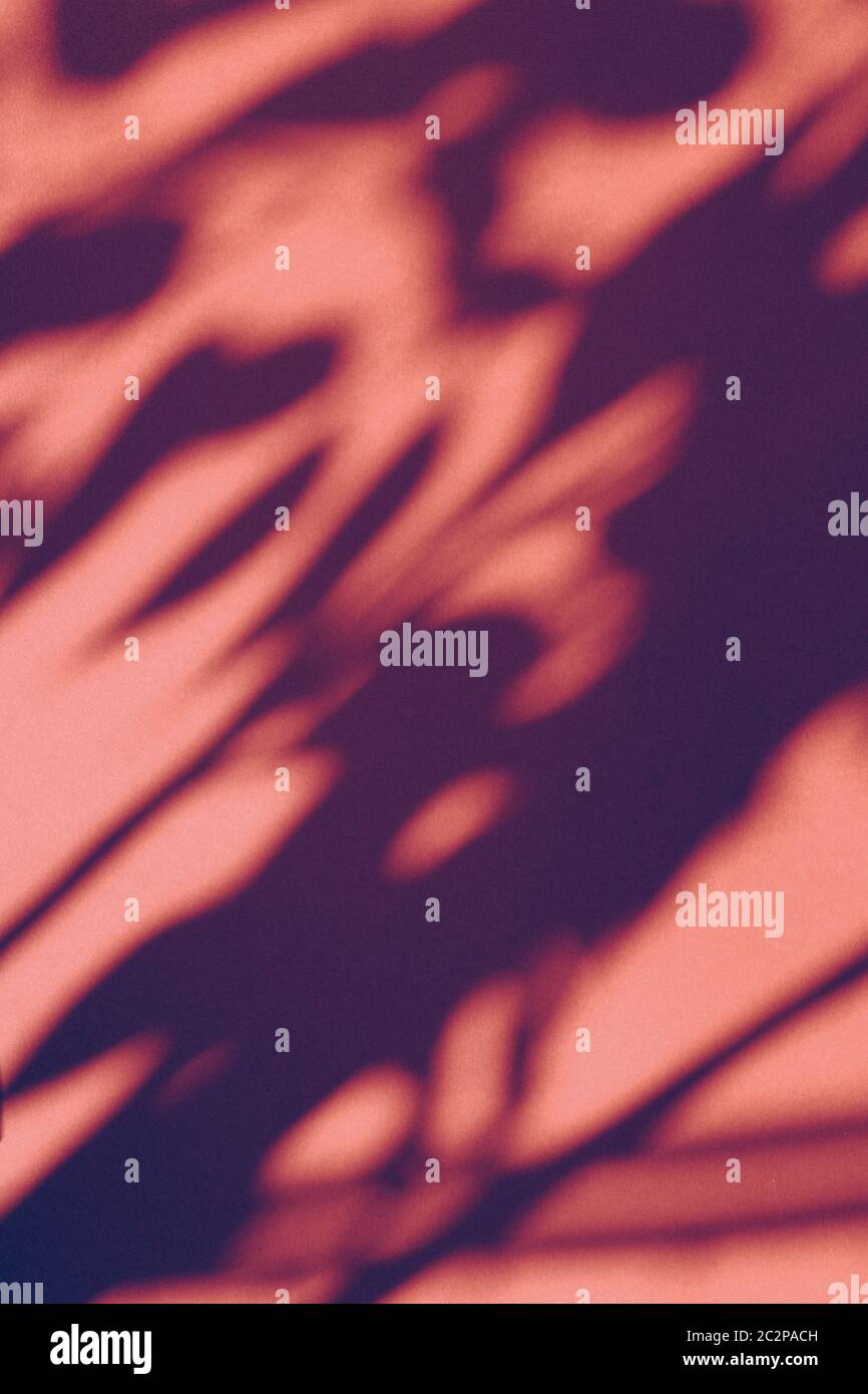 Abstract art, botanical shadows overlay on brown background for holiday ...