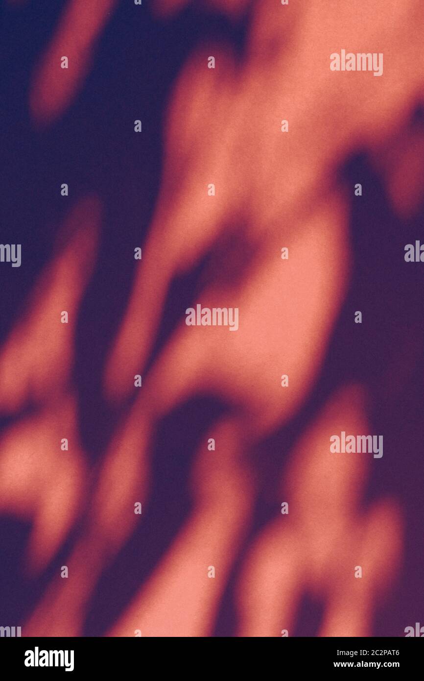 Abstract art, botanical shadows overlay on brown background for holiday ...