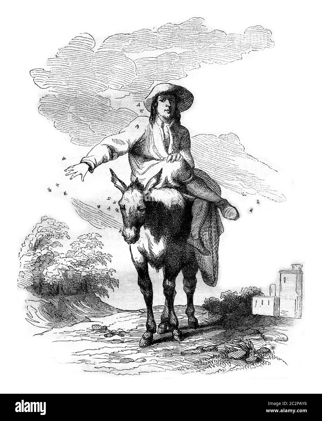 Alboin hi-res stock photography and images - Alamy