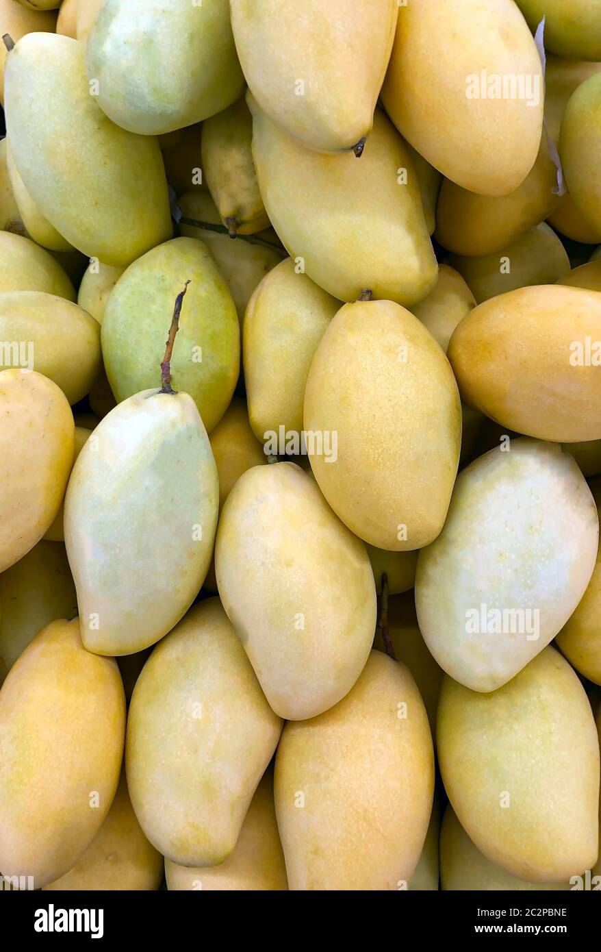 photo tropical mango fruit on the counter of the supermarket Stock ...