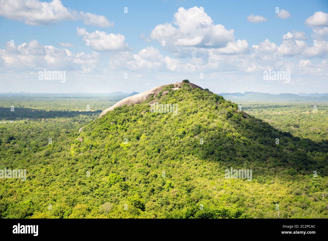 Scenic green valley and tea mountains, Ceylon. Landscape of Sri Lanka ...