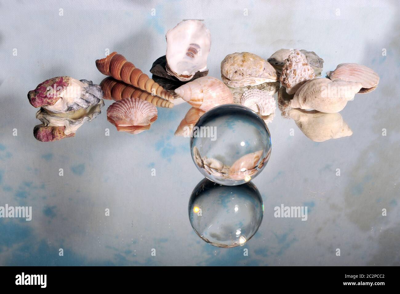 Lensball and seashell on reflective surface. Shells reflected from ...