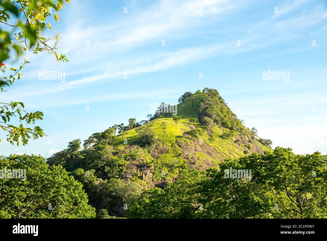 Scenic green tea mountains, Ceylon. Landscape of Sri Lanka Stock Photo ...