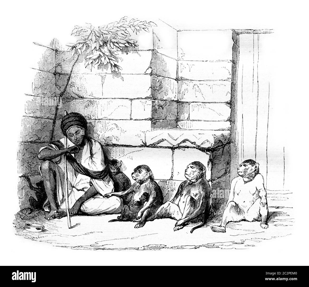 A Merchant of monkeys in Cairo, vintage engraved illustration. Magasin ...