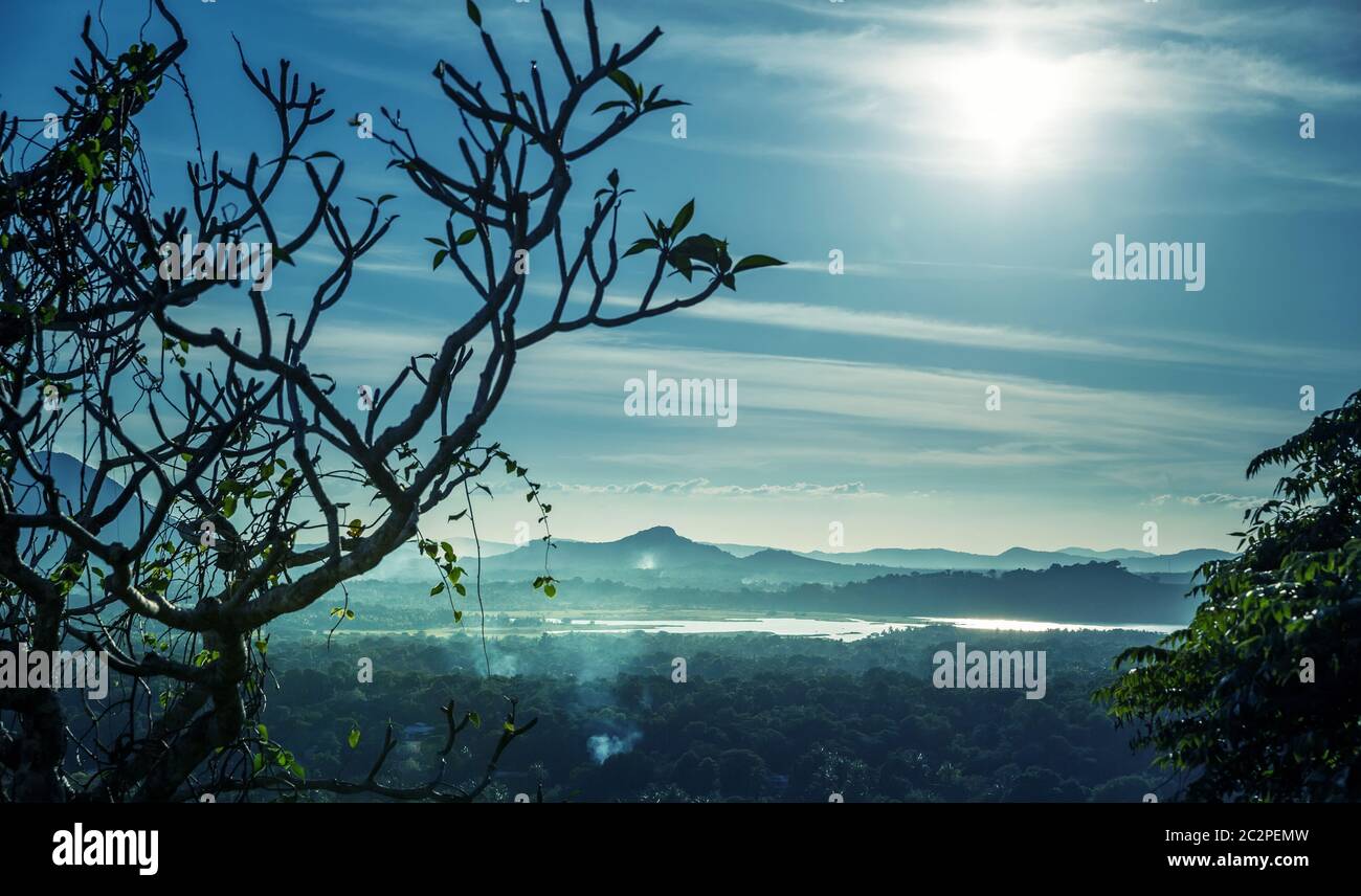 Scenic tea mountain valley landscape, Ceylon nature. Sri Lanka scenery ...