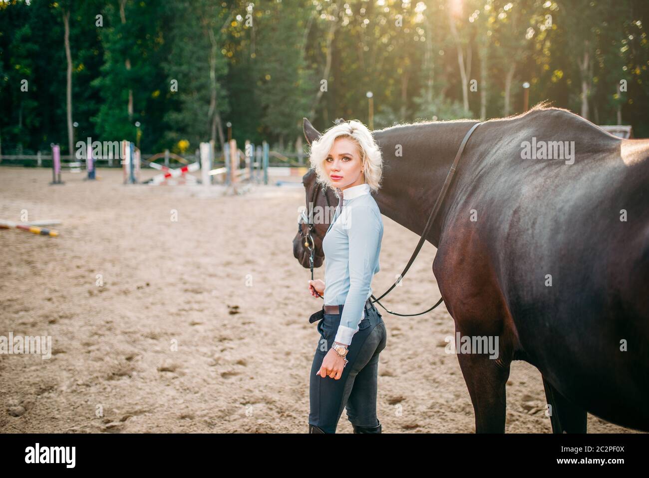 Portrait of young woman with brown horse. Equestrian sport, attractive ...