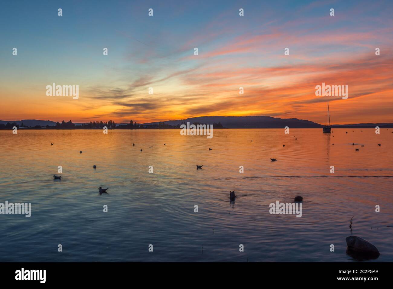 Lake Constance panorama at sunset, Allensbach, Germany Stock Photo - Alamy