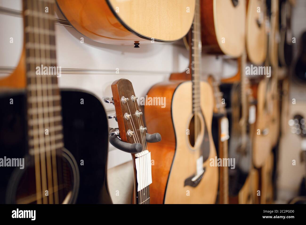 Rows of acoustic guitars on showcase in music store, nobody. Assortment ...
