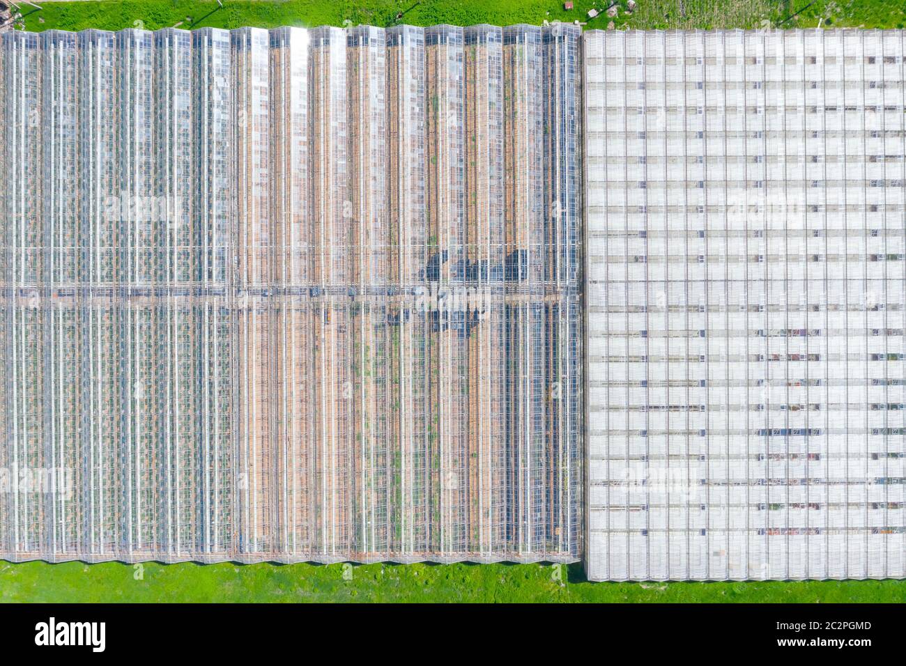 Top aerial view over large greenhouses for growing vegetable and flower ...