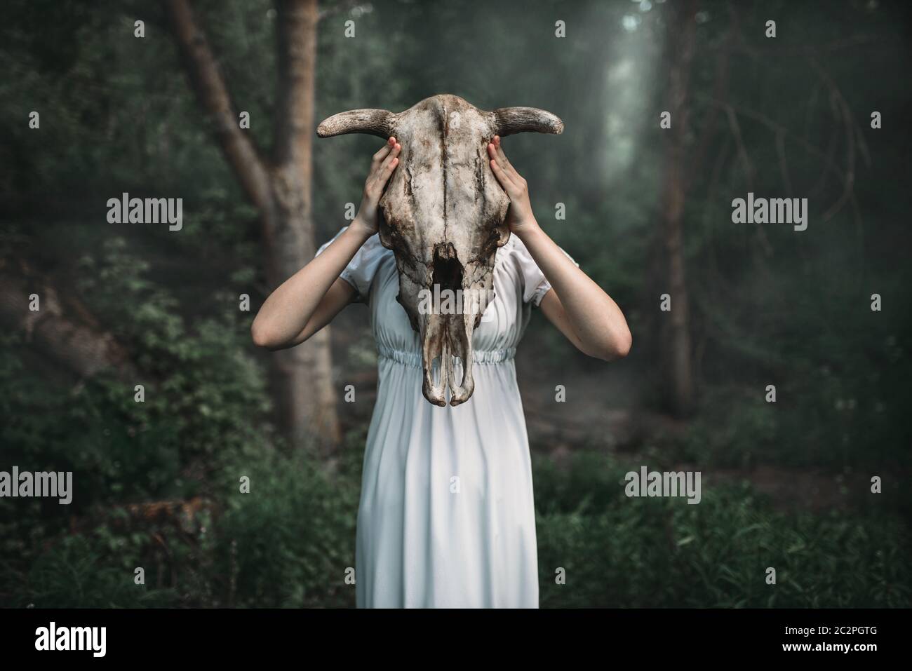 Female victim in white dress with skull of the animal instead of the ...