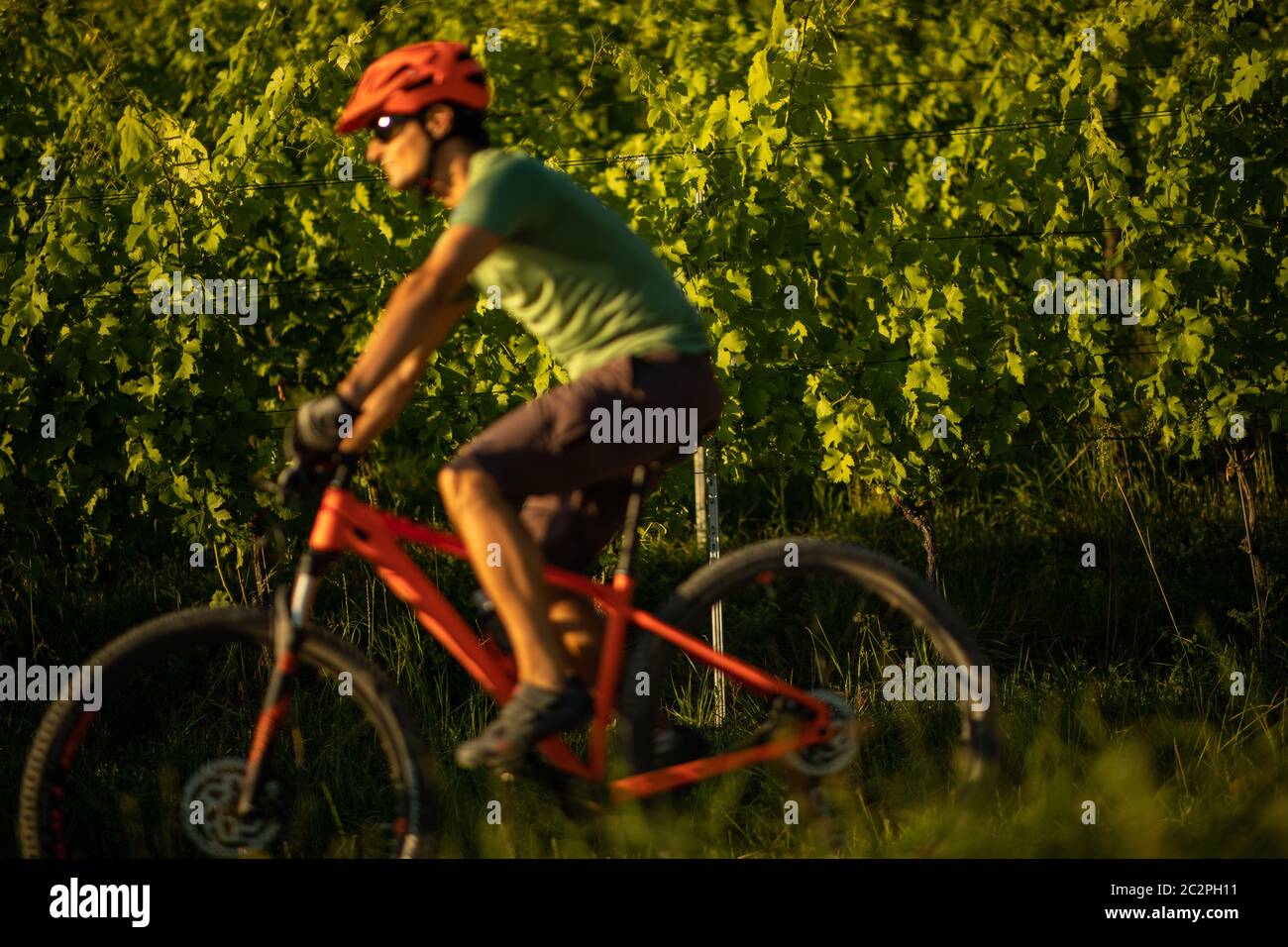 Young man biking on a mountain bike enjoying healthy active lifestyle ...