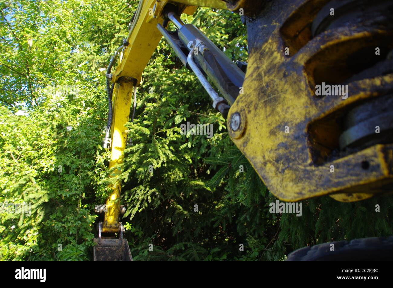 Deforestation and ecological devastation. Forest harvesting machine ...