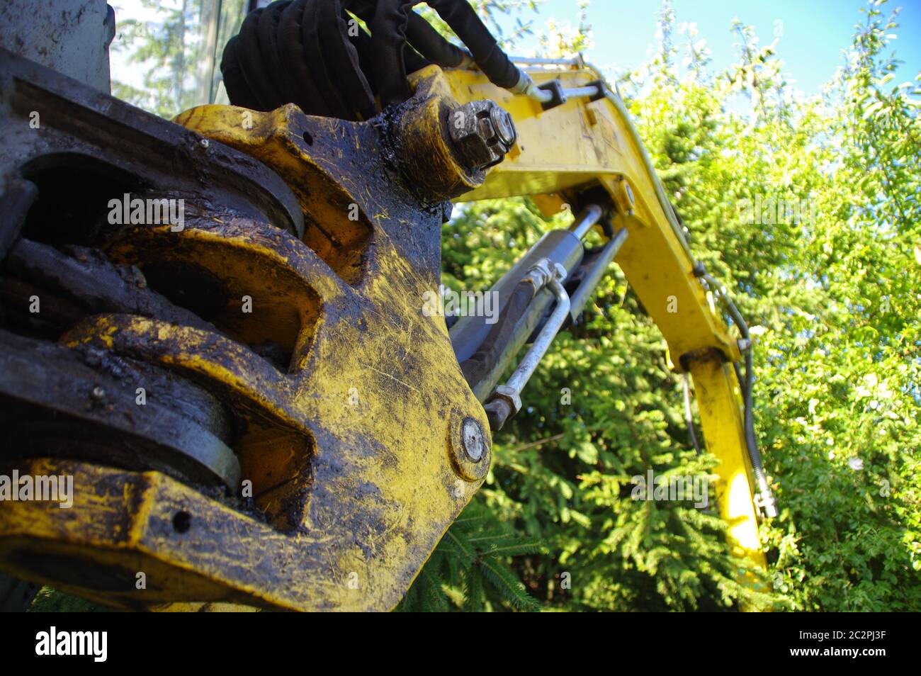 Deforestation and ecological devastation. Forest harvesting machine ...