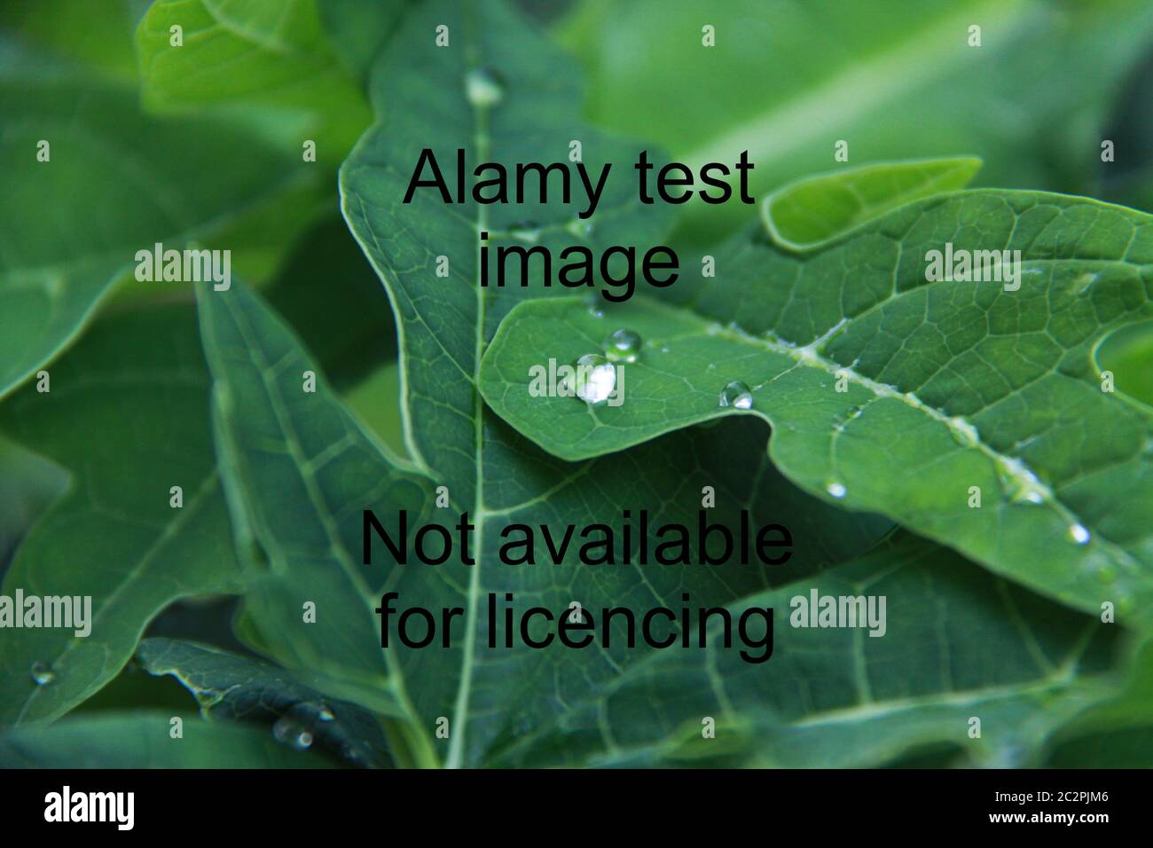 hello how are you 1 Stock Photo - Alamy