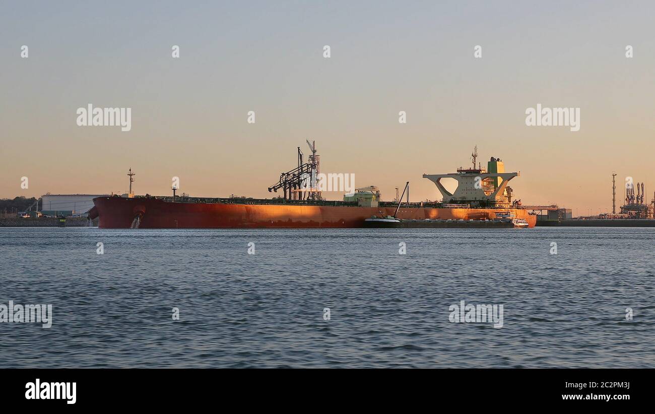 Huge oil tanker ship docket in the Port of Rotterdam, pumping out ...